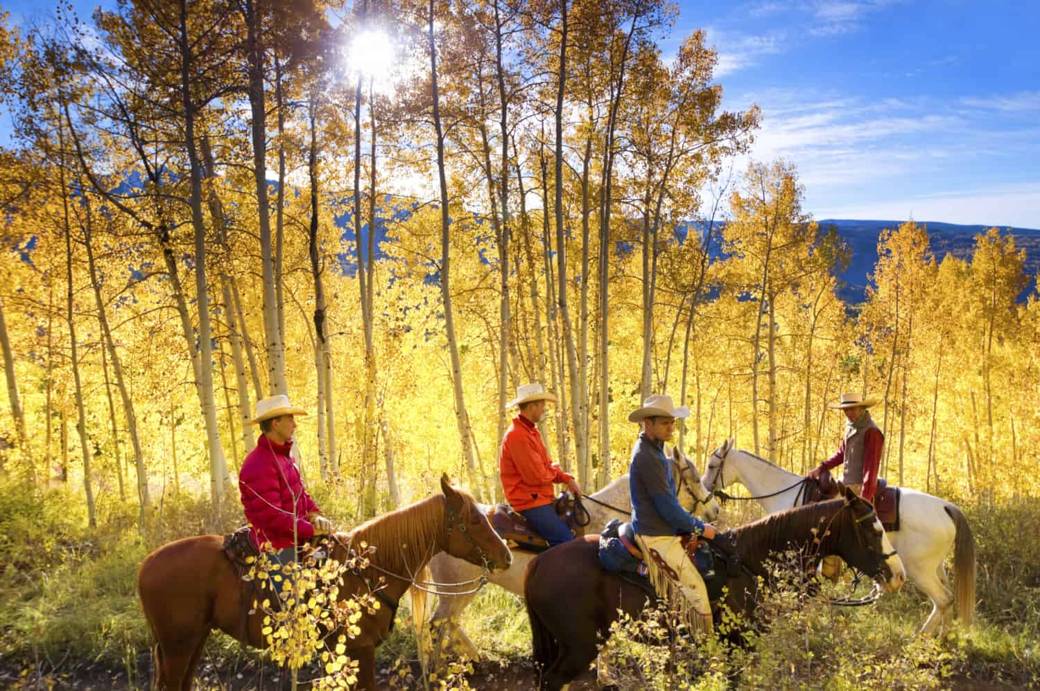 Top 10 Things to do in Breckenridge During October | BWR